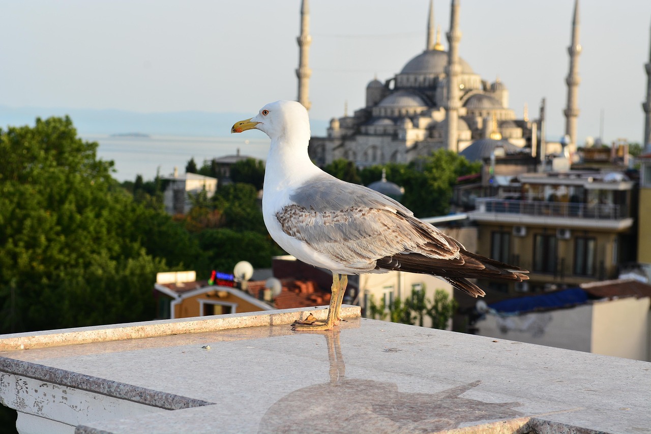 Istanbul & Cappadocia in Eid El Fitr - Excel Travel Egypt